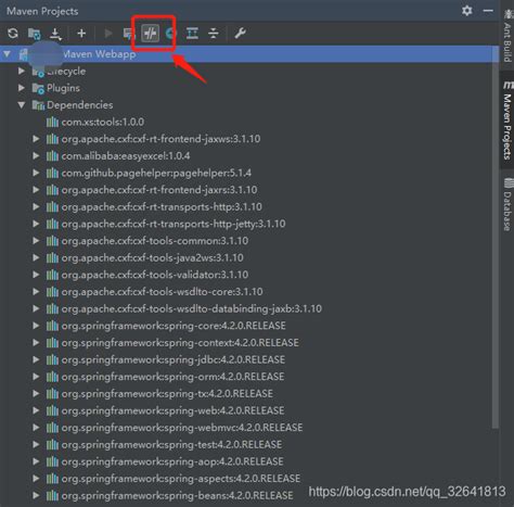 Intellij Idea 中项目导入问题：external Libraries 中没有maven包只有tomcat架包情况idea