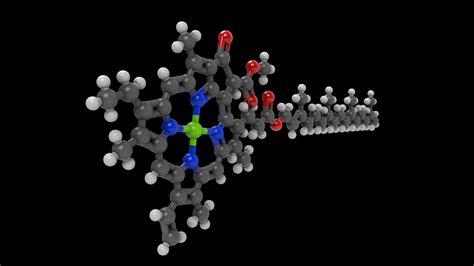Chlorophyll Molecule Structure 3d Model Turbosquid 2199148