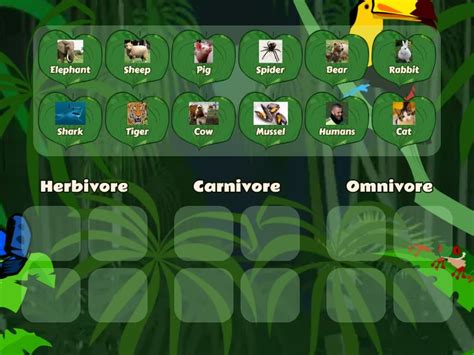 Herbivore Carnivore Omnivore Group Sort