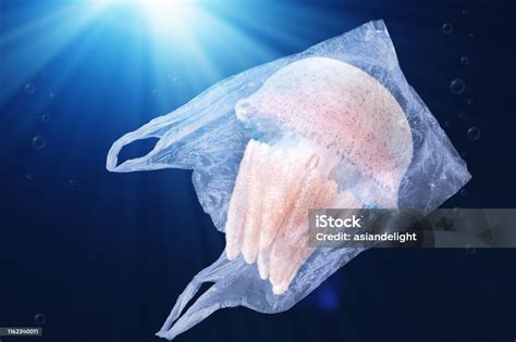 해양 환경 문제 개념의 플라스틱 오염 바다에 떠있는 비닐 봉지 안에서 수영하는 해파리 플라스틱에 대한 스톡 사진 및 기타 이미지 플라스틱 해파리 가방 Istock