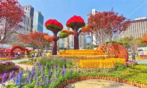 【花展2023】維園香港花卉展覽3月10 19日回歸，繡球花主題！一連10日舉行！ 放假去邊 Openholidays