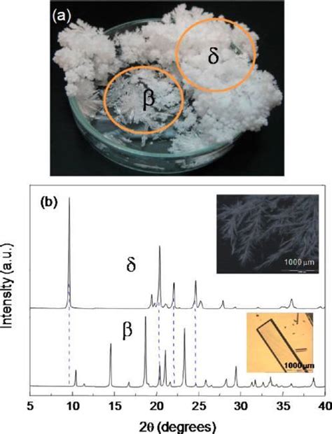 A Concomitant Crystallization Of δ And β Polymorphs Of Mannitol On
