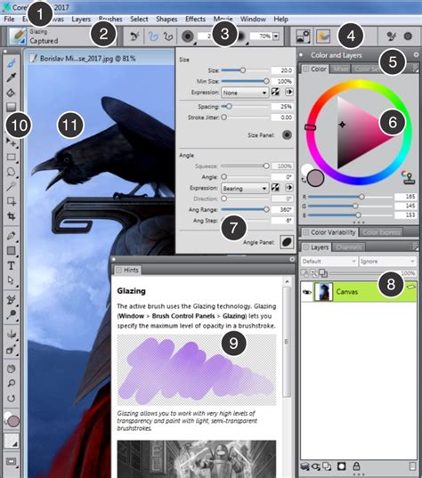 Corel Painter Help Exploring The Document Window