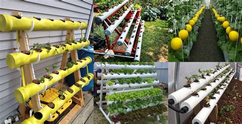 Diy Hydroponic Garden Tower Using Pvc Pipes Fasci Garden