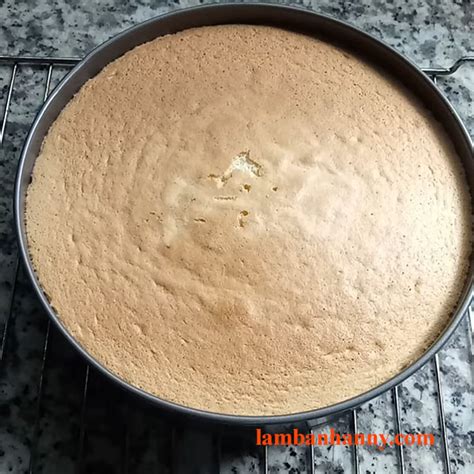 Cách Làm Bánh Bông Lan Nước Cốt Dừa Bông Mềm đơn Giản