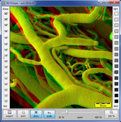 M 3 Graphical User Interface Gui Showing The Morphometry Dialog When Download Scientific