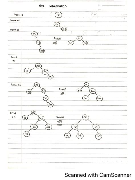 avl visualisation pdf