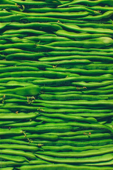 Beans Pattern On The Market By Stocksy Contributor Bonninstudio