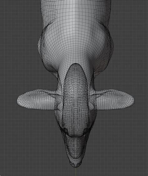 Solved Wireframe Shows In Solid Mode At Times Is This A Bug Blender 4 2 Modeling Blender