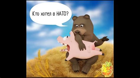СВО 1 Суть конфликта Ответ на видео СВО Свинка в обмороке Youtube