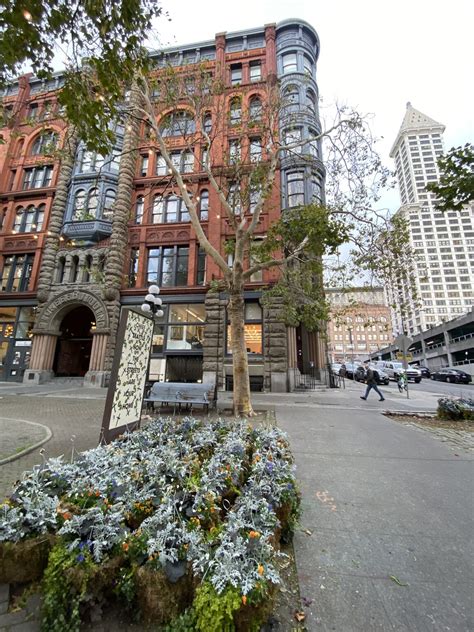 We At Expansive Seattle Are So Thankful For Hardwork And Diligence The Alliance For Pioneer