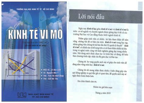 Sách kinh tế vi mô Đại học Kinh tế TP HCM UEH PDF
