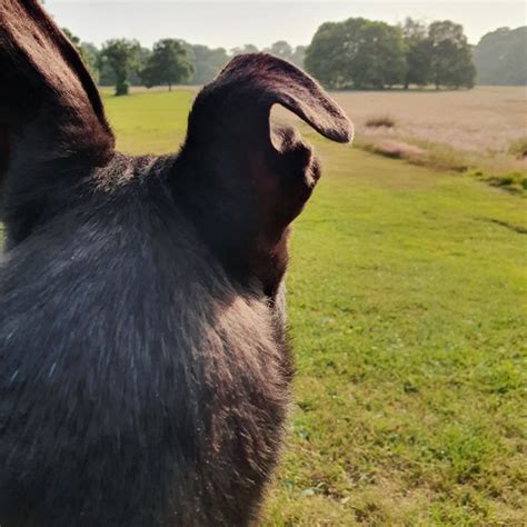 Vanessa Mclaughlin Youtube