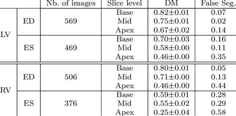 mean dice metric ± standard deviation dm and false segmentation rates