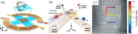 Different Surface Acoustic Manipulation Methods A A Surface Acoustic