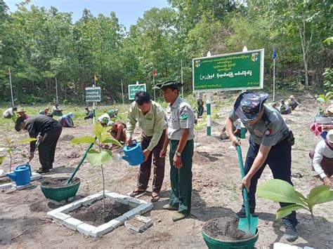 ရွှေတောင်မြို့၌ ၂၀၂၂ ခုနှစ်မိုးရာသီအကြို သစ်ပင်စိုက်ပျိုးပွဲတော်ကျင်းပ
