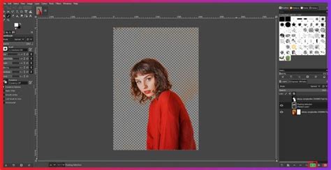 How To Remove Background In From GIMP