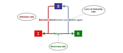 SIR Model Insight Maker