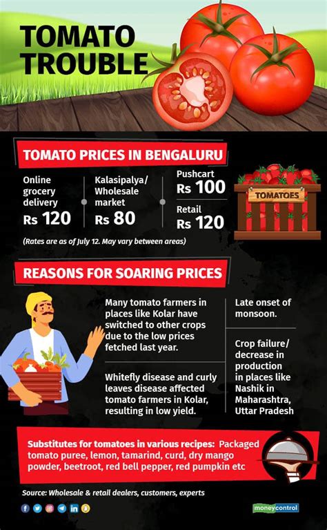 Tomato Omelettes And Salads Go Missing Puree In Demand As Tomato