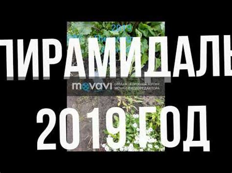 СВГ Омская ночка и Пирамидальный. - YouTube
