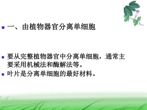 第五章 植物细胞培养技术第1 2节 课件 共57张ppt 《细胞工程》（高教版） 21世纪教育网 二一教育