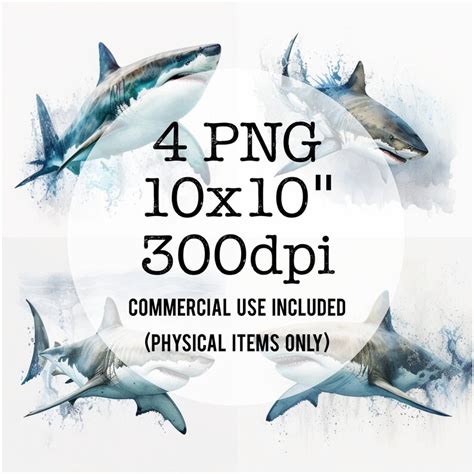Great White Shark Watercolor Png Clipart Shark Portrait Png Etsy
