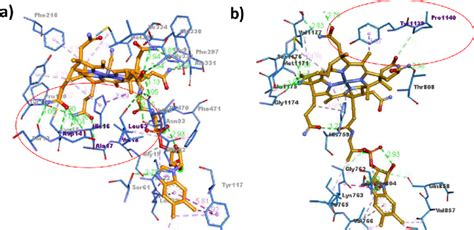Binding Interactions Of Adenosylcobalamin Adocbl In Glutamate Mutase Download Scientific