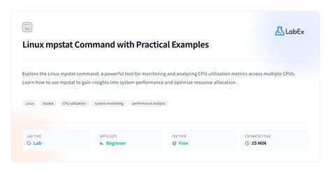 Linux Mpstat Command With Practical Examples Labex