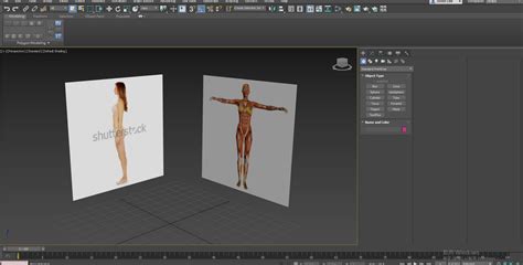 3ds Max Viewport Texture Turn Black 3dsmax
