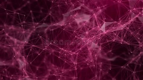 Magenta Red Plexus Abstract Digital Connection Moving Dots And Lines