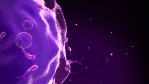 Successful Sperm Entering Egg Rendered 3d Stock Footage Video 100