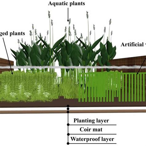 Structure Of Surface Flow Wetlands Download Scientific Diagram