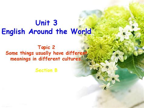 Unit 3 Topic 2 Section B Word文档在线阅读与下载 无忧文档