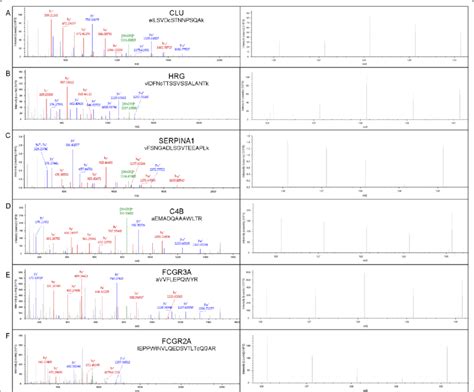 Representive Msms Spectra Of Peptides Of Clusterin Clu A