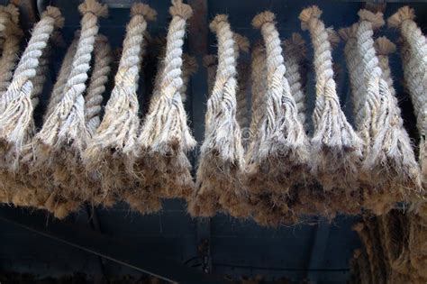Brown Rope Twine Hangs Many Lines Under Ceiling Stock Image Image Of Gallows Line 261979177