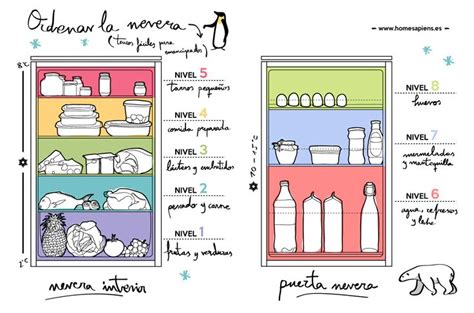 APOYO DOMICILIARIO PRÁCTICA Nº ORDENAR LOS ALIMENTOS EN LA NEVERA