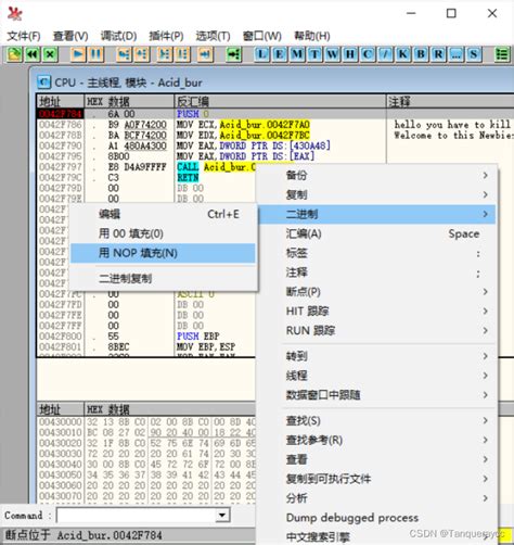 Ollydbg 破解crackme160第一个acidburn详细解析天累无e64eea Csdn博客