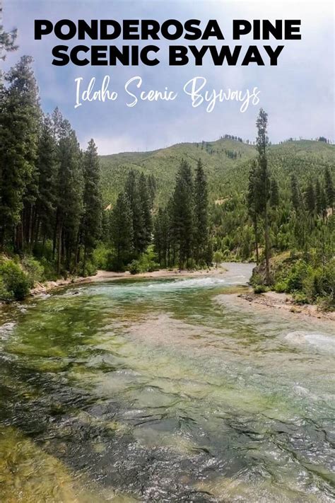 Ponderosa Pine Scenic Byway Idaho Road Trips