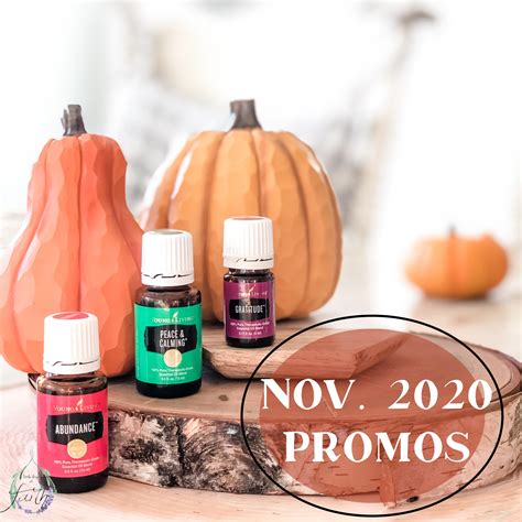 November 2020 Promos Faithful Droppers