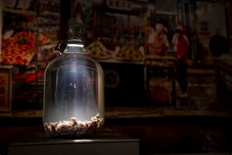 Disgusting Food Museum Proves That Objectionable Food Is In The Eye