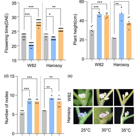 The Effects Of Increasing Temperature On Soybean Flowering A Download Scientific Diagram