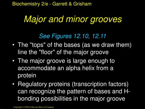 Ppt Structure Of Nucleic Acids Sequencing And Secondary Structure