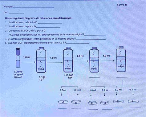 Solved Nombre Sec Use El Siguiente Diagrama De Dilucione