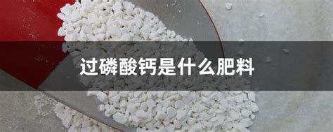 过磷酸钙是什么肥料 如意谷