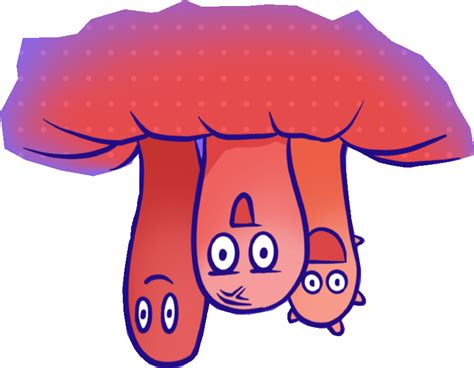 【友谊消化】做肠镜，治内痔——有“痔”患者的新选择治疗内镜大连市