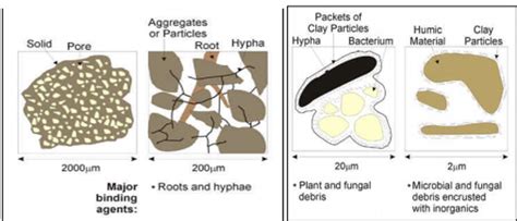 Soil Structure Soil Structure