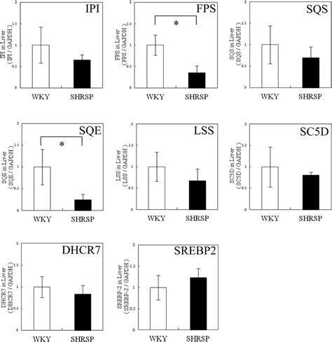 Mrna Levels Of Cholesterol Biosynthetic Enzymes In The Liver Of Wky And Download Scientific
