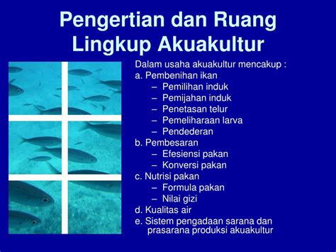 PPT PERIKANAN BUDIDAYA AQUACULTURE PowerPoint Presentation Free