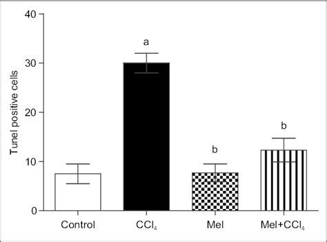 Carbon Tetrachloride Ccl 4 Induces Apoptosis In Rat Liver Cells
