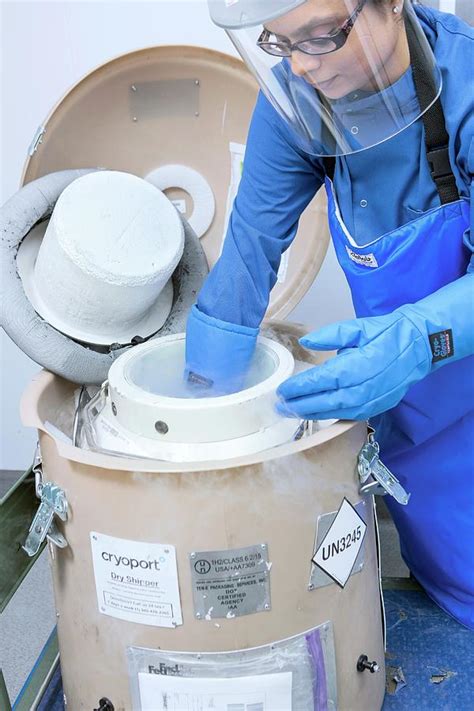 Cryopreservation In Stem Cell Research Photograph By Lewis Houghton